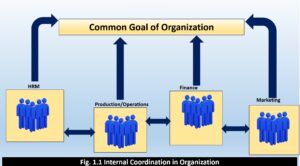 Types of Coordination » Management Studies 360d