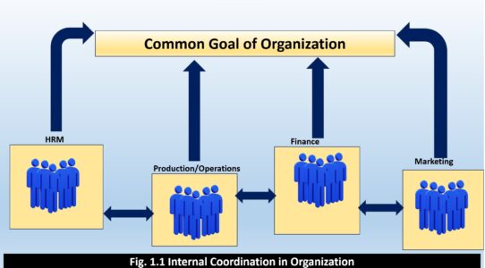 Types of Coordination » Management Studies 360d